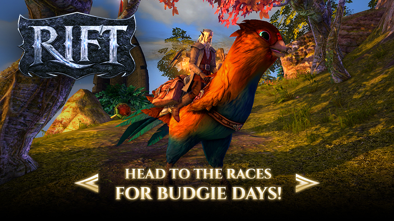 RIFT - Head to the races for budgie days! - Steam News