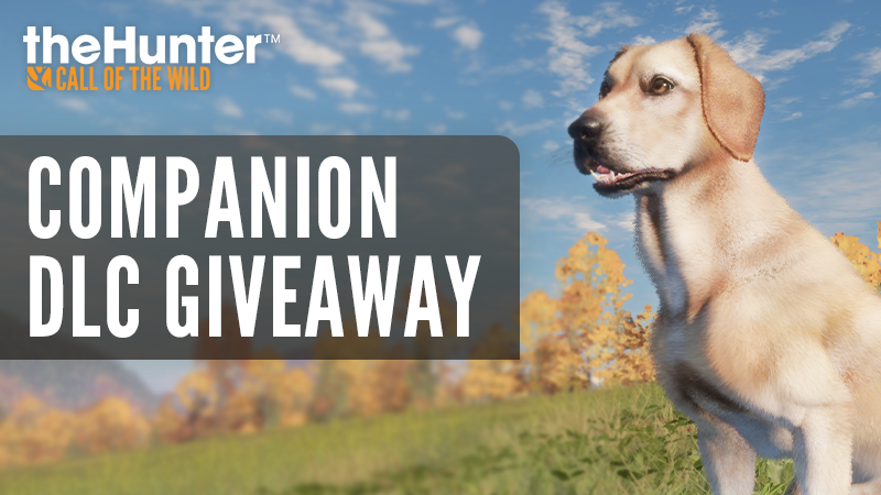 theHunter: Call of the Wild™ - Companion DLC Giveaway - Steam News
