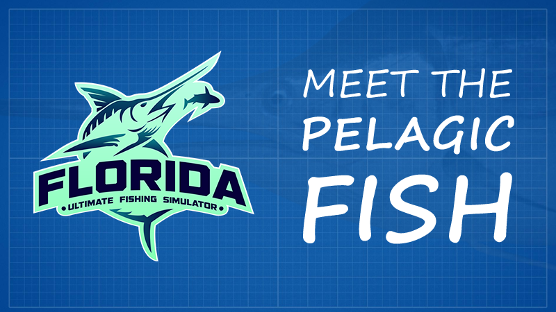 Ultimate Fishing Simulator - Meet the Pelagic fish | Upcoming Florida ...