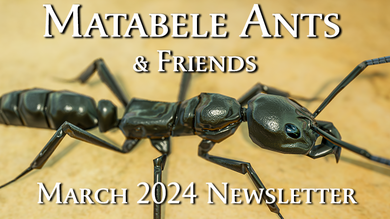 Empires of the Undergrowth - March 2024 Newsletter - Matabele Ants ...