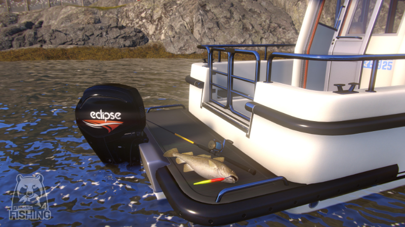 Russian Fishing 4 - Anyone up for fresh cod fillet? - Steam News
