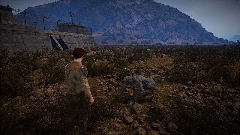 Creatures Inc - Additional information we’d like to share with you ...