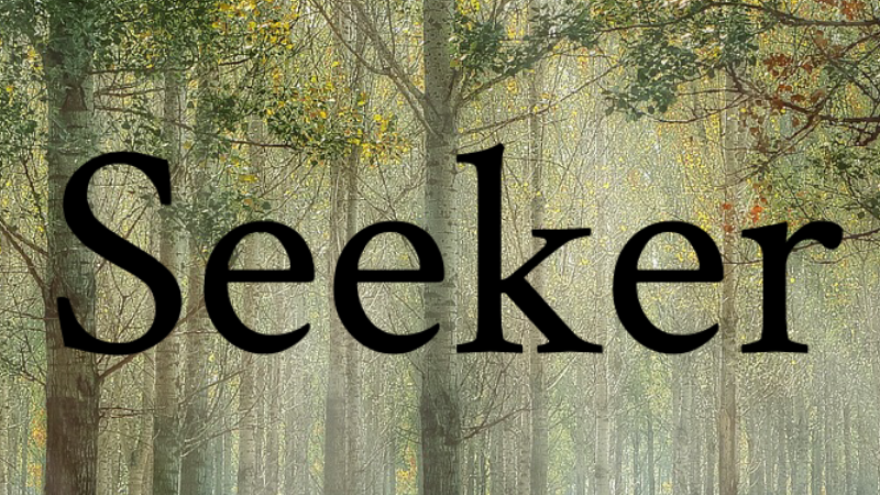 Steam :: Seeker :: Game mode update