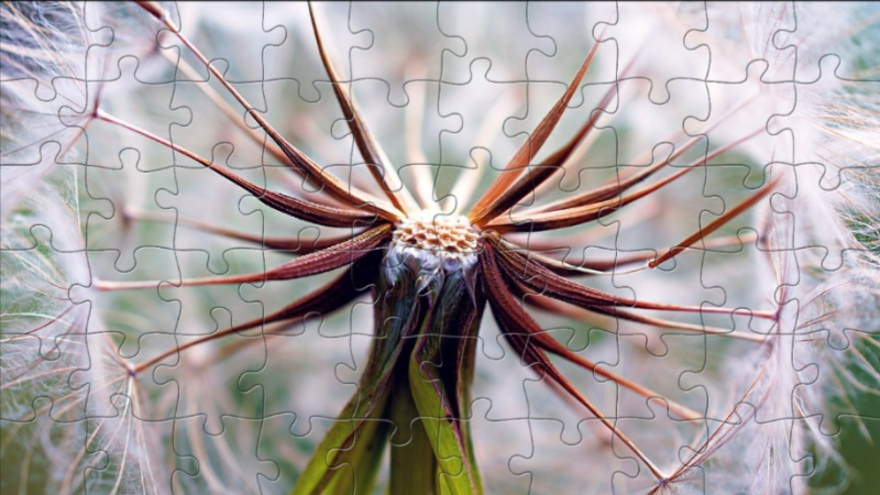 Super Jigsaw Puzzle: Generations - Random Puzzles 3 and free puzzle ...