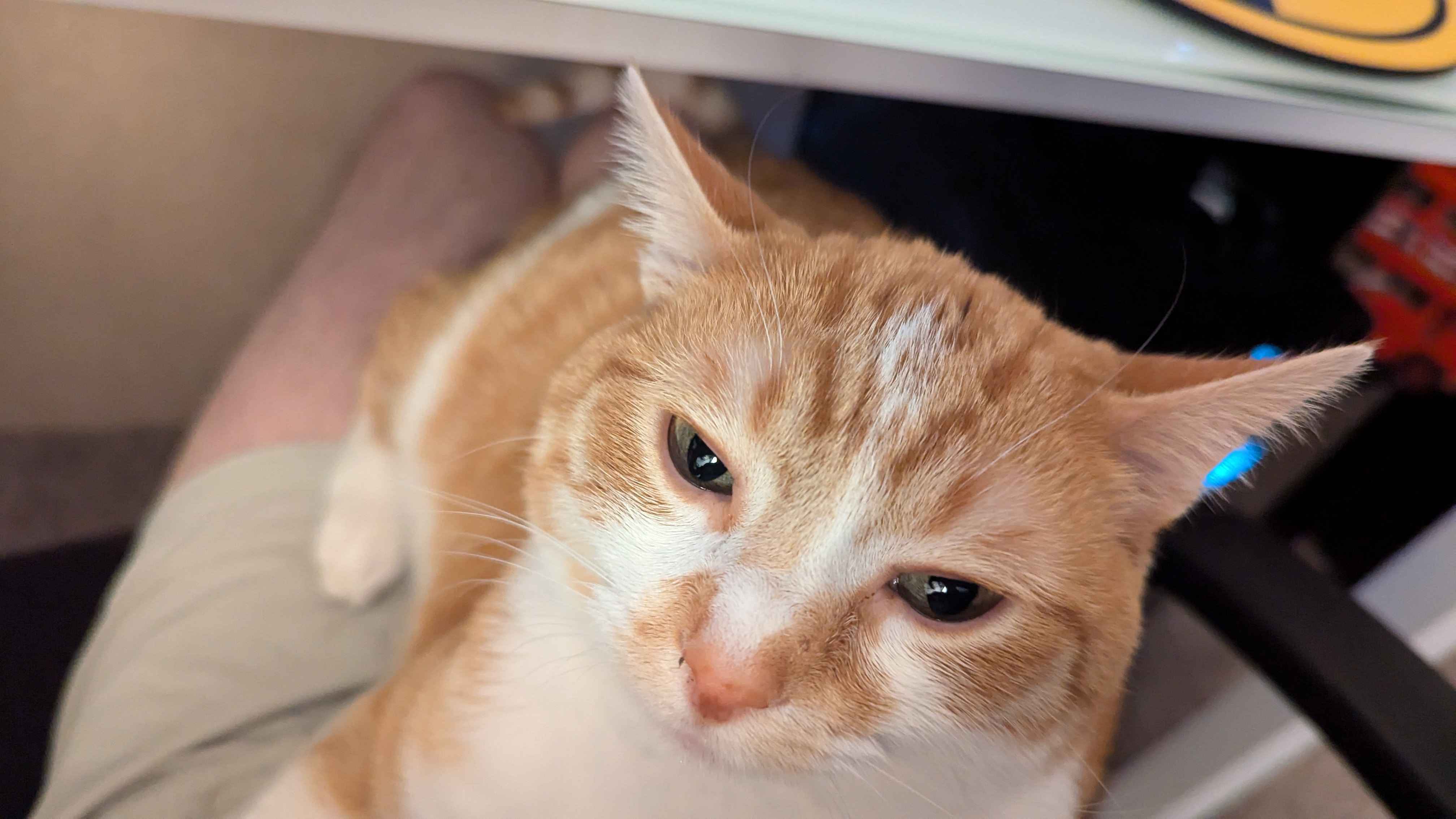 @underspacegame on Tumblr