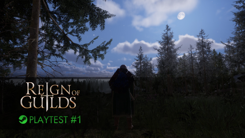 Reign of Guilds - Steam playtest #1 - Steam News