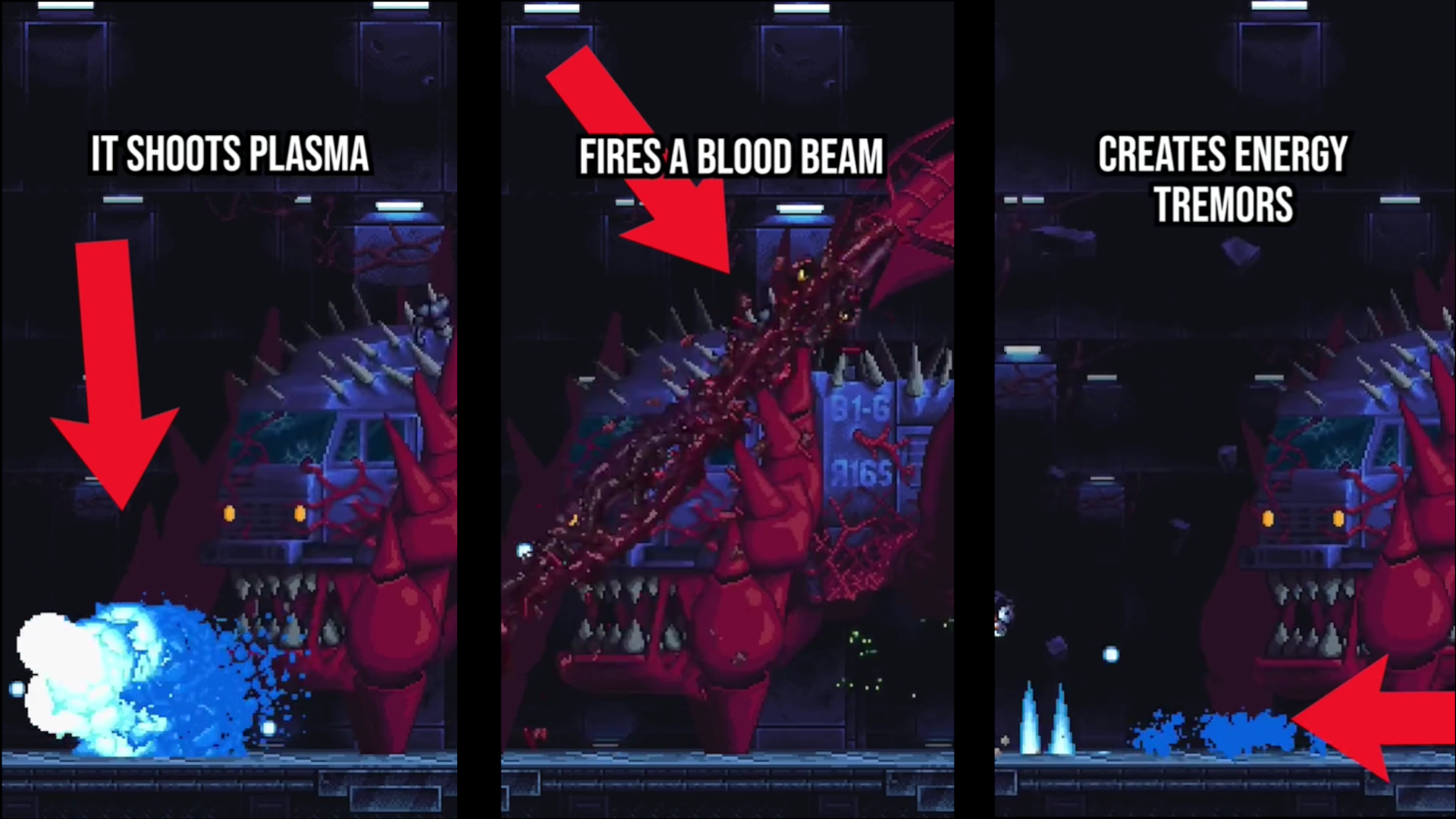 But we just have one problem: he doesn’t have a name yet!