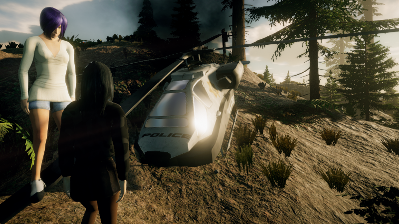 Steam :: Super Hiking Simulator 2020 :: Released a free DLC game