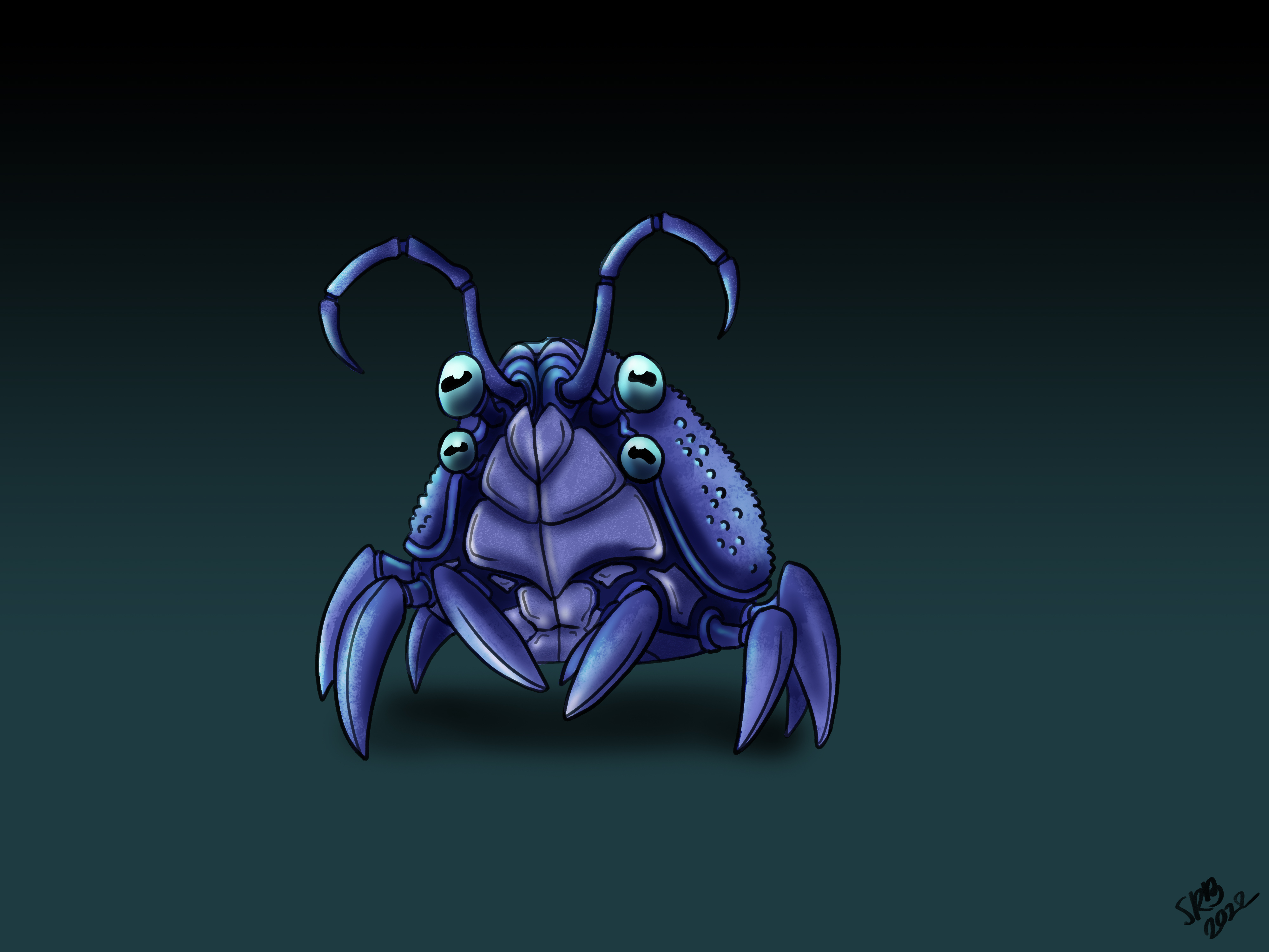Next, a shy little crustacean. He just wants a friend. Or two.