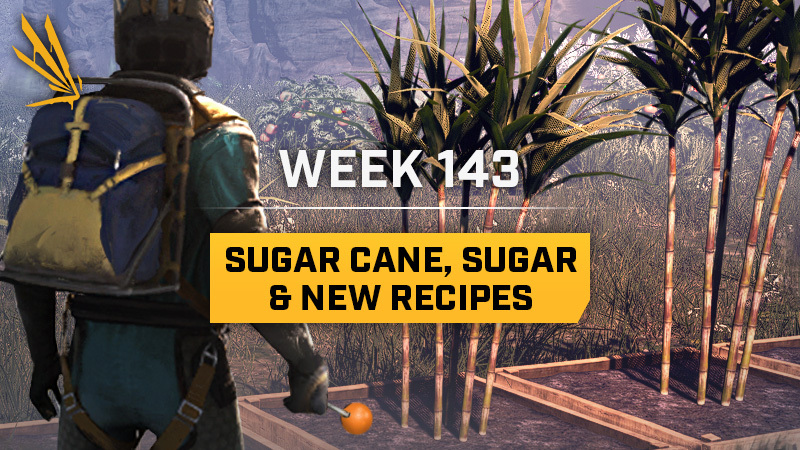 ICARUS - Icarus Week 143 Update | Sugar, Strawberry Hard Candy, and ...