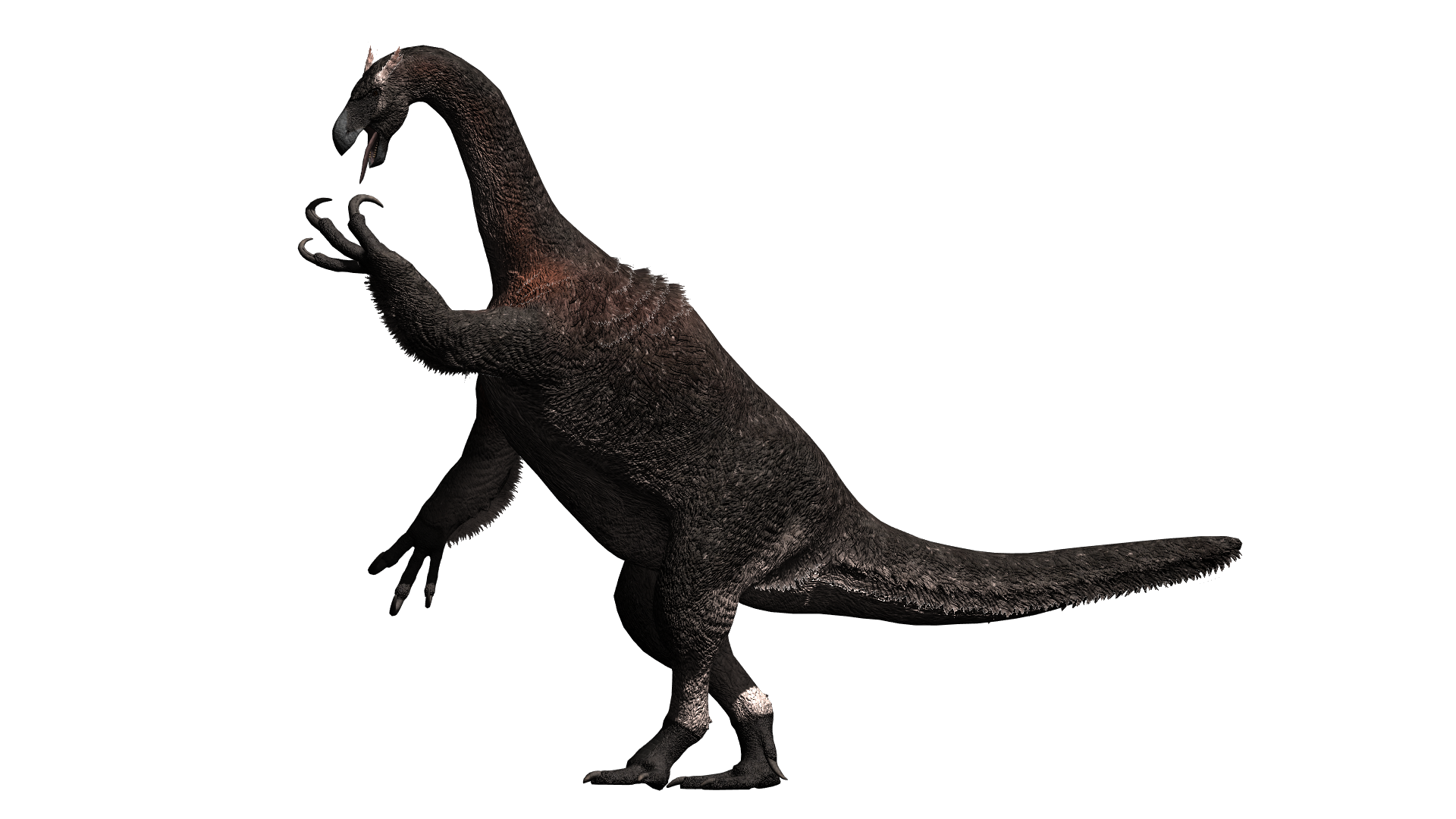 Nothronychus.