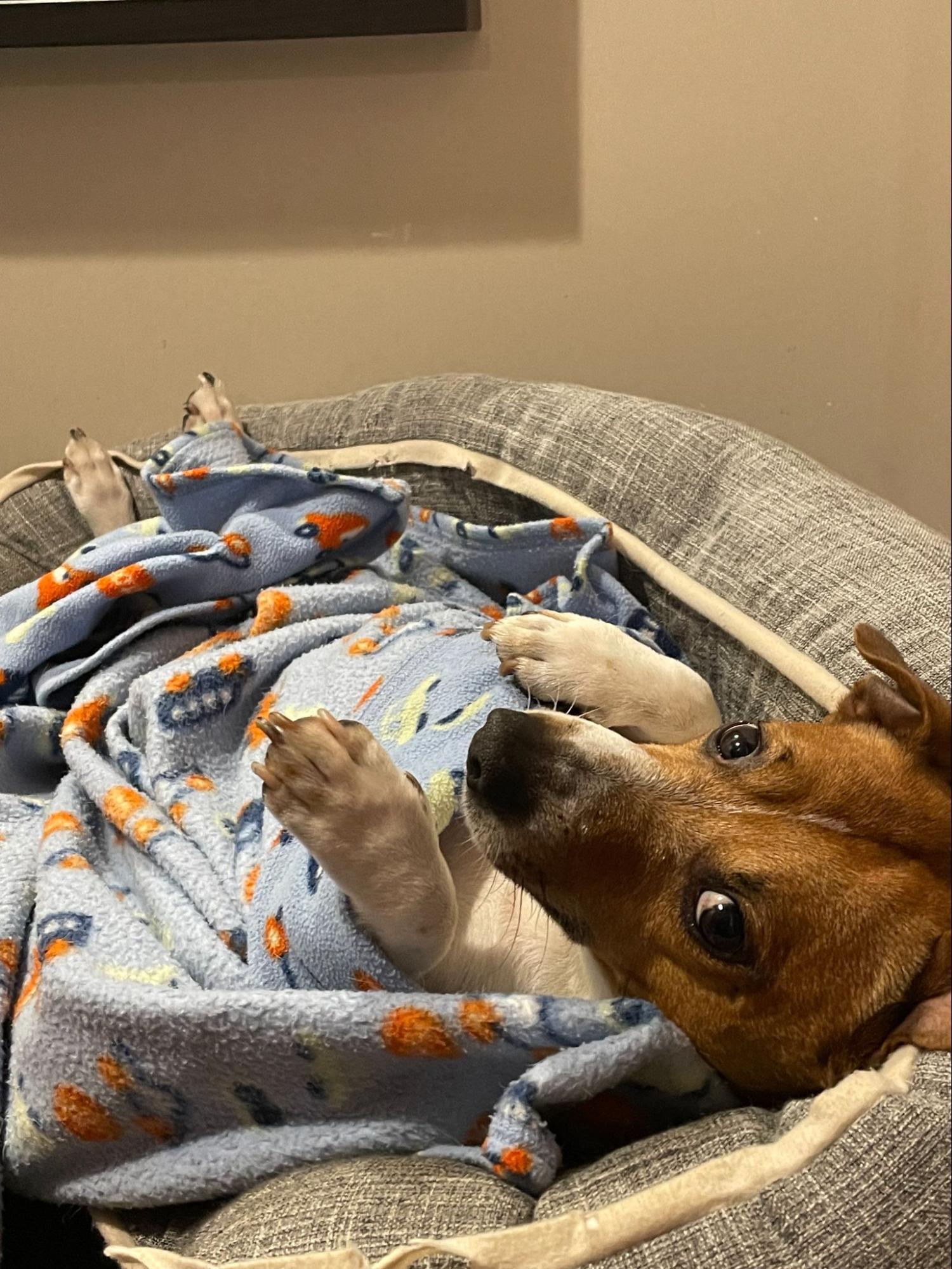 Steam Community :: Warhammer 40,000: Darktide