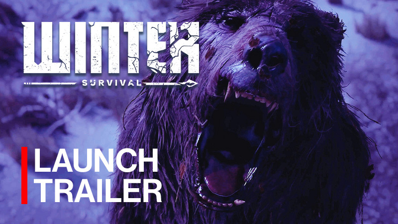 Winter Survival - Difficulty customization is here + a brand-new ...