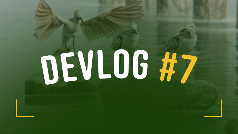 Birding Simulator: Bird Photographer - Devlog #7 - Steam News