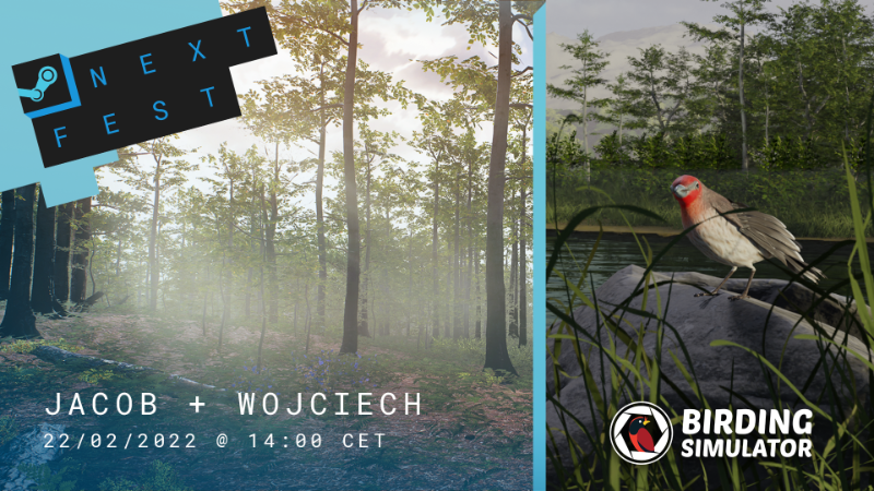 Birding Simulator: Bird Photographer - 🦅 Steam Next Fest Live Stream #1 ...