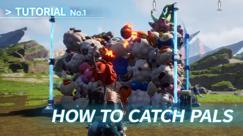 Palworld - Palnews：How to catch Pals and Discord Q&A session - Steam News