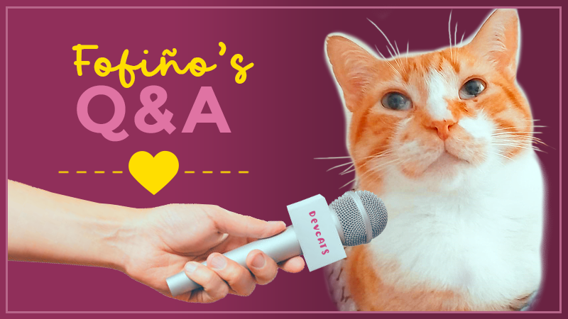 Devcats - Fofiño's Q&A - Steam News