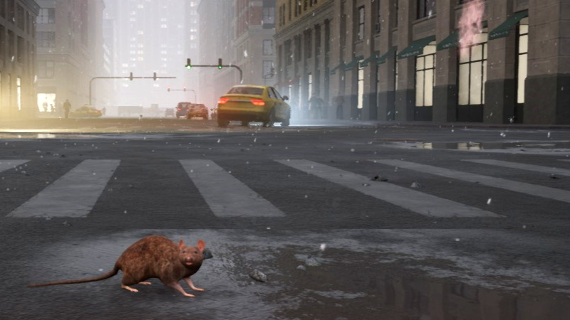 New York Rat Simulator - Rat Sim Update When? - Steam News