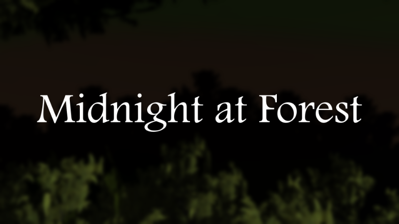 Midnight at Forest - We're looking for Human Resources, QA Testers, and ...