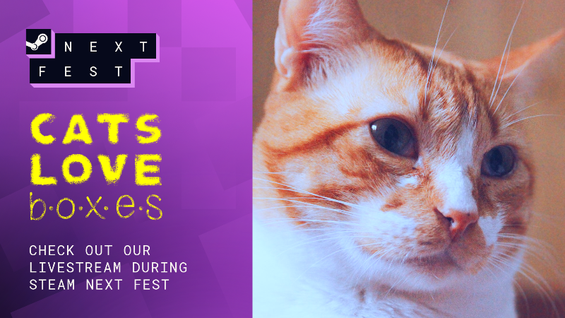 Cats Love Boxes - Cats Love Boxes Livestream - Steam News