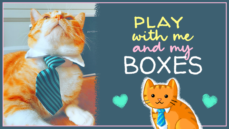 Cats Love Boxes - Play with me and my boxes! - Steam News