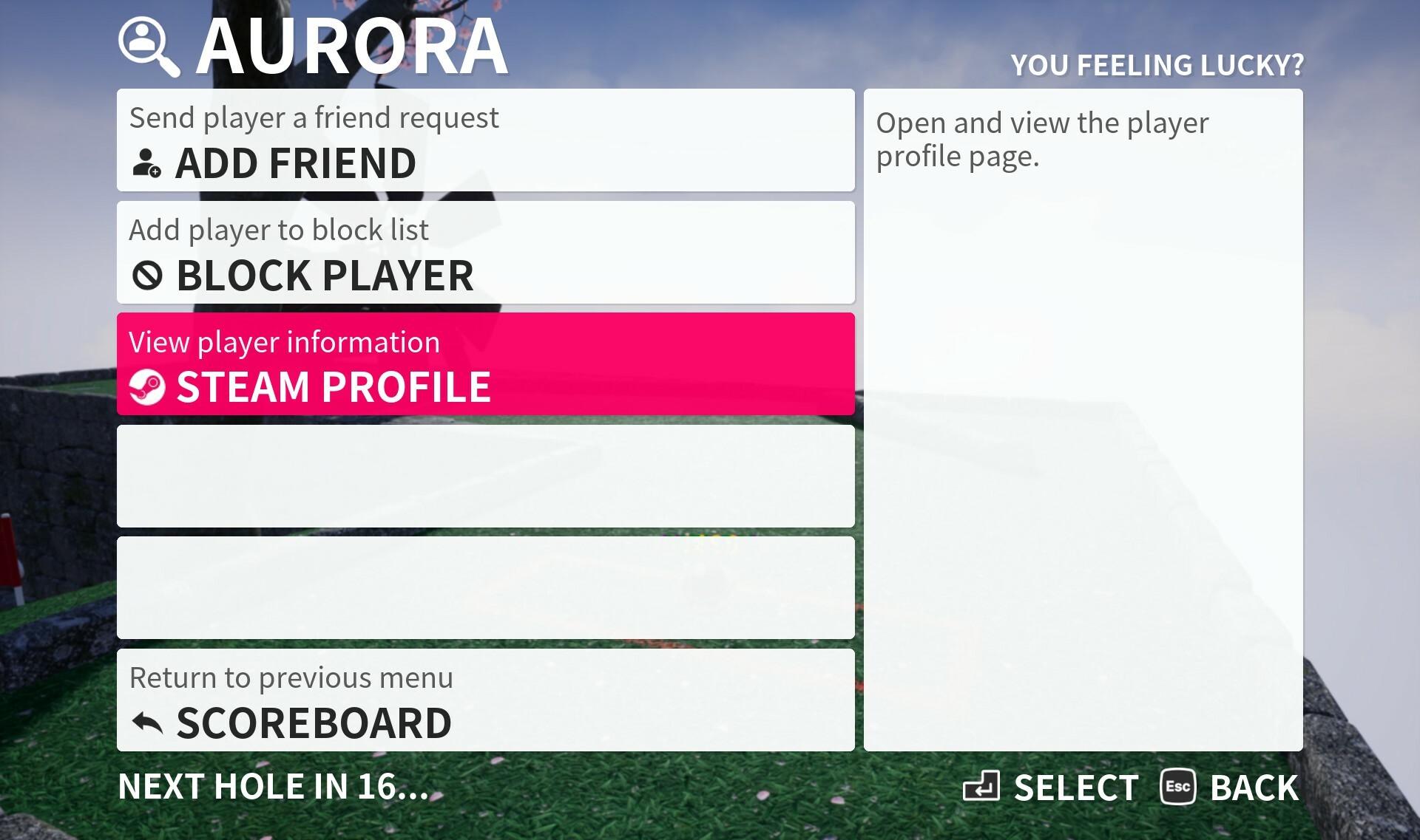 Improved player inspect