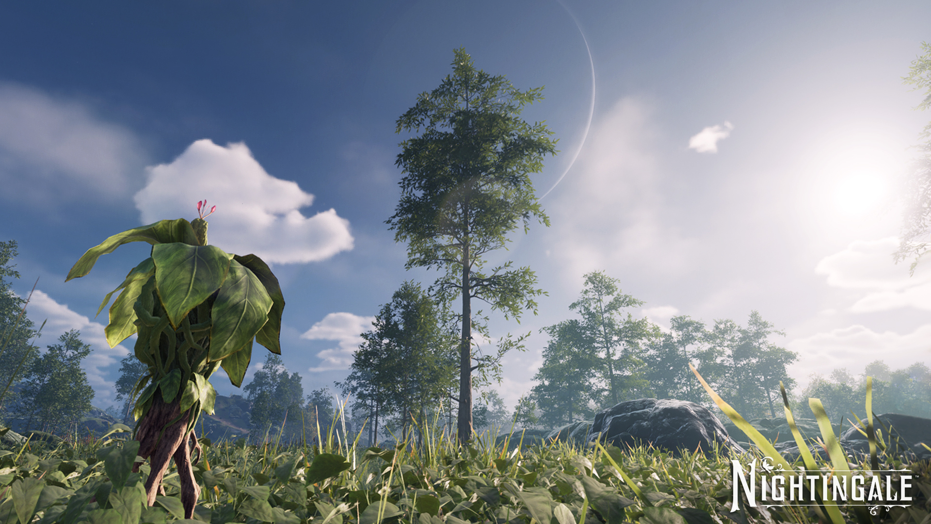 Steam Community :: Nightingale