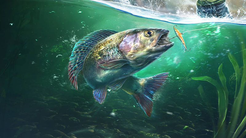 Ultimate Fishing Simulator 2 Playtest - Patch Notes Version 0.4.26p ...