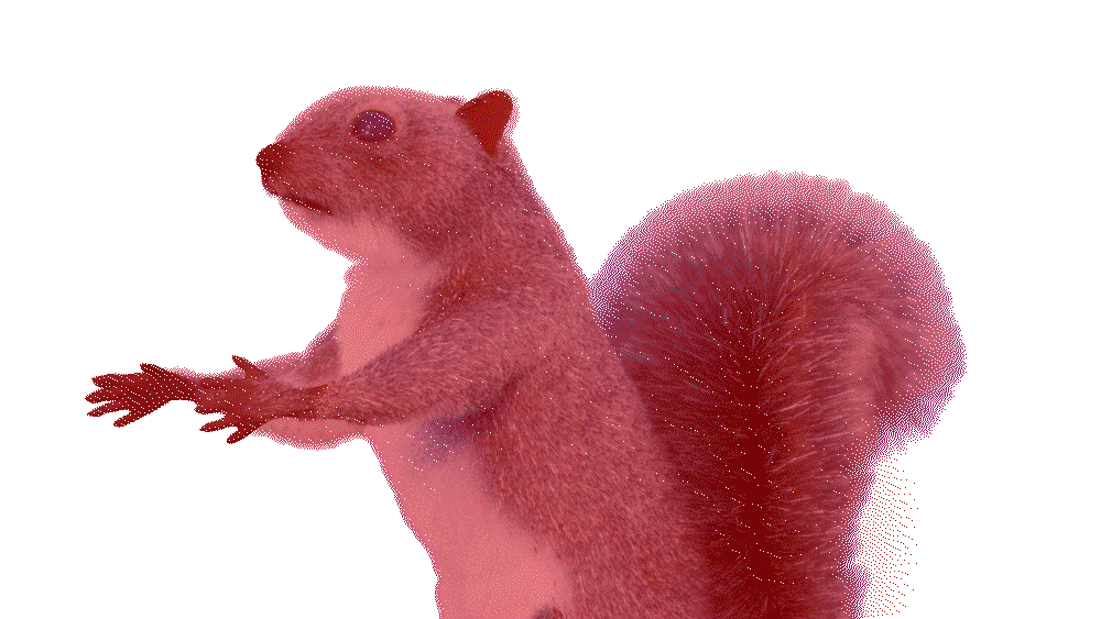 Steam Community :: Squirrel with a Gun
