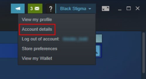3. Check your Steam ID 17-digit number