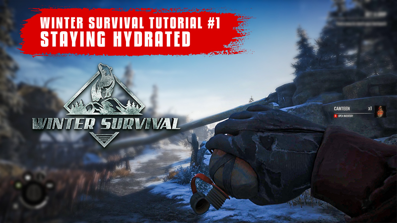 Winter Survival: Prologue - Winter Survival Tutorial #1 – Staying ...