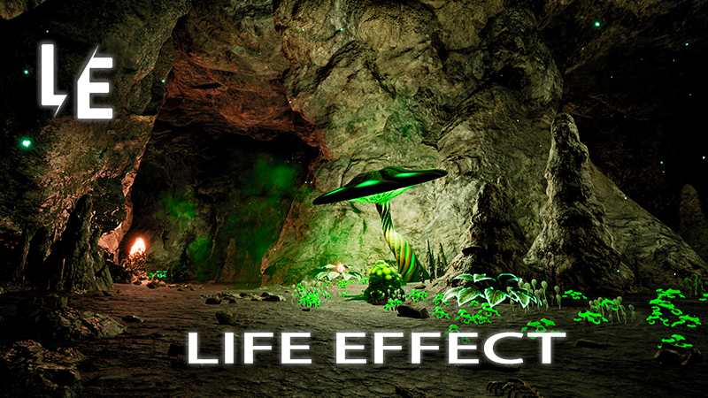 LIFE EFFECT - Cases, storage, caches, tents, changes and improvements ...