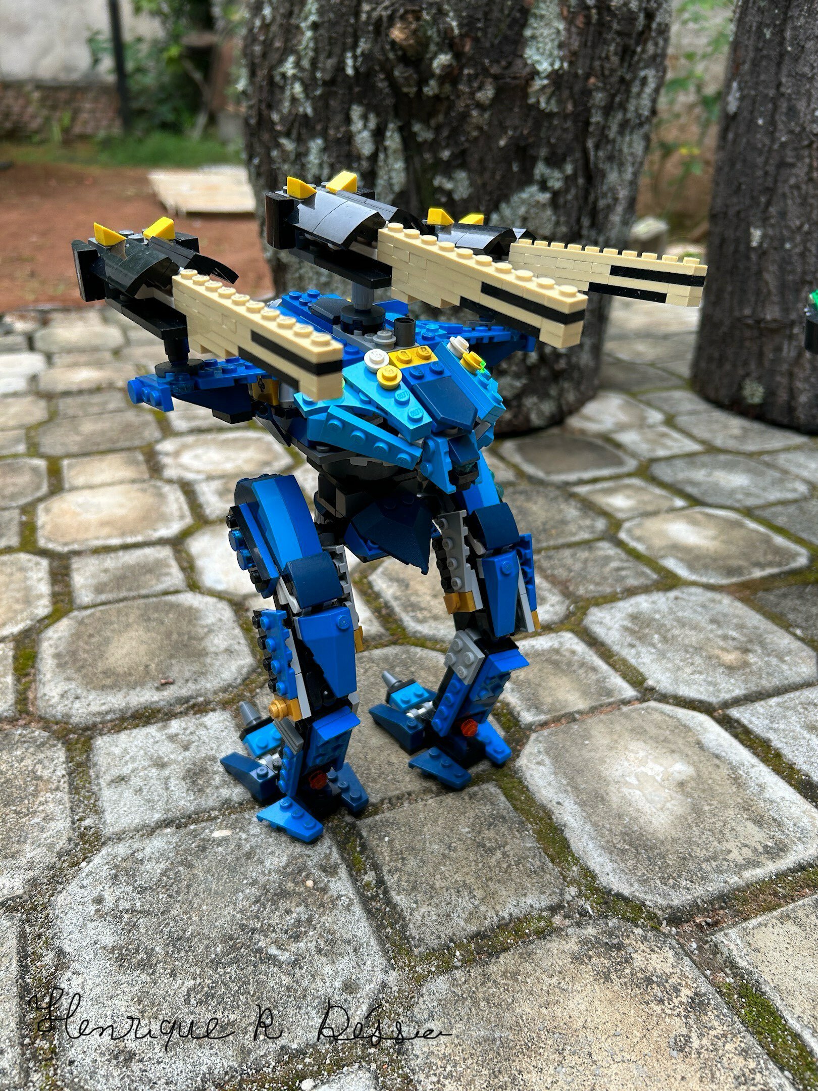 Development Insights