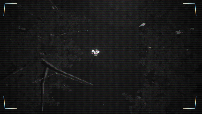 EMPTY SHELL - A glimpse of the woods - Steam News