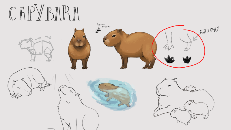 Flutter Away - Capybara have… different toes? - Steam News