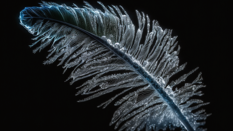 Nix: Ashes of the Phoenix - ️ A Blizzard is Coming ️ - Steam News