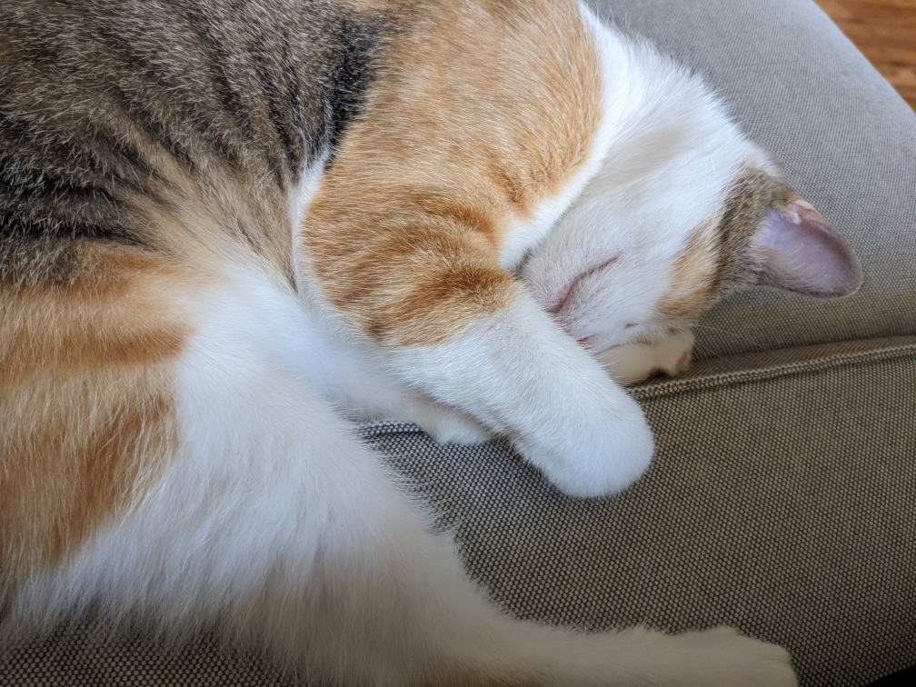 Steam Community :: Lambda Spellcrafting Academy