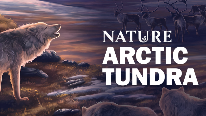 Nature - Arctic Tundra is released! - Steam News