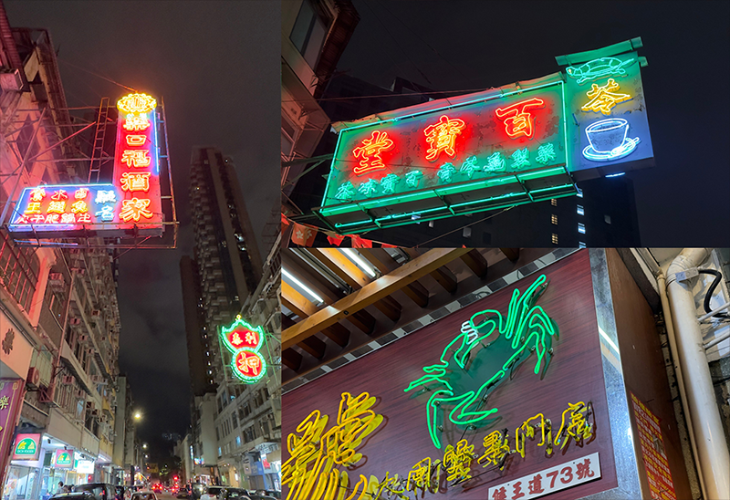 Steam Community :: Animaloid Girl