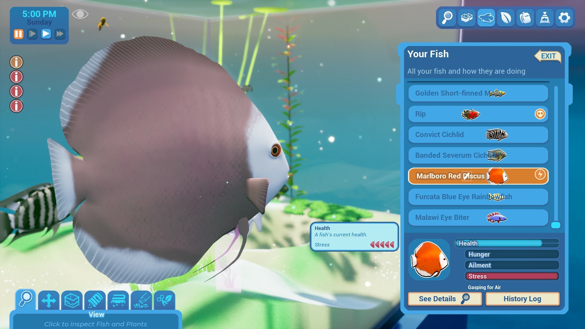 Hunger and Health Update