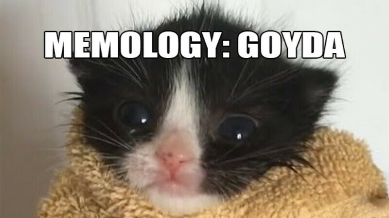 MEMOLOGY: GOYDA - Major update of memes and iq developer! Competition ...