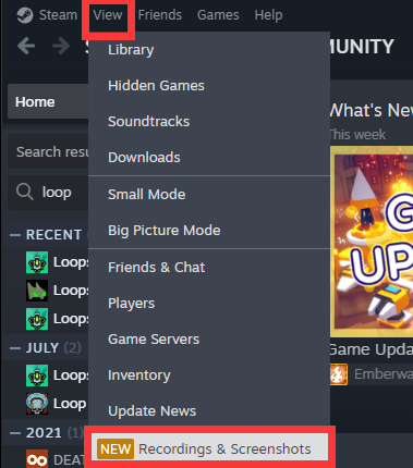 Steam Community :: Loopstructor