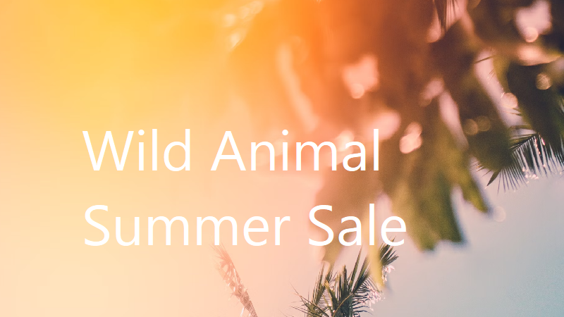 Wild Animal Racing - SUMMER SALE IS HERE AGAIN - Steam News